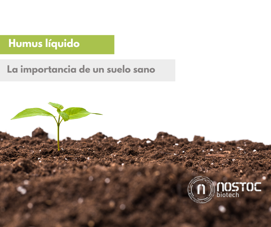 Humus líquido: la clave para un suelo sano y productivo