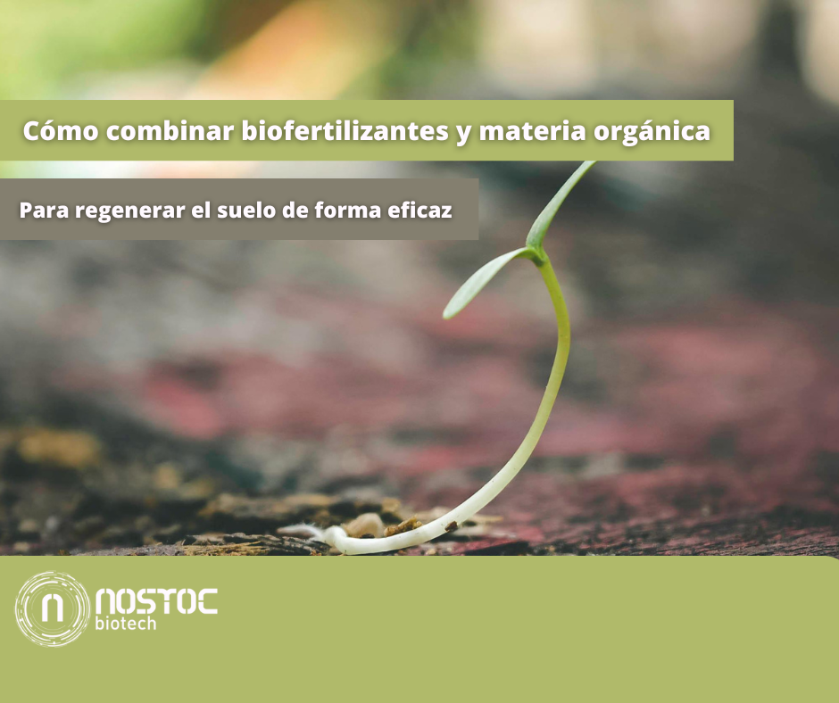 Biofertilizantes y materia orgánica para regenerar suelos agrícolas